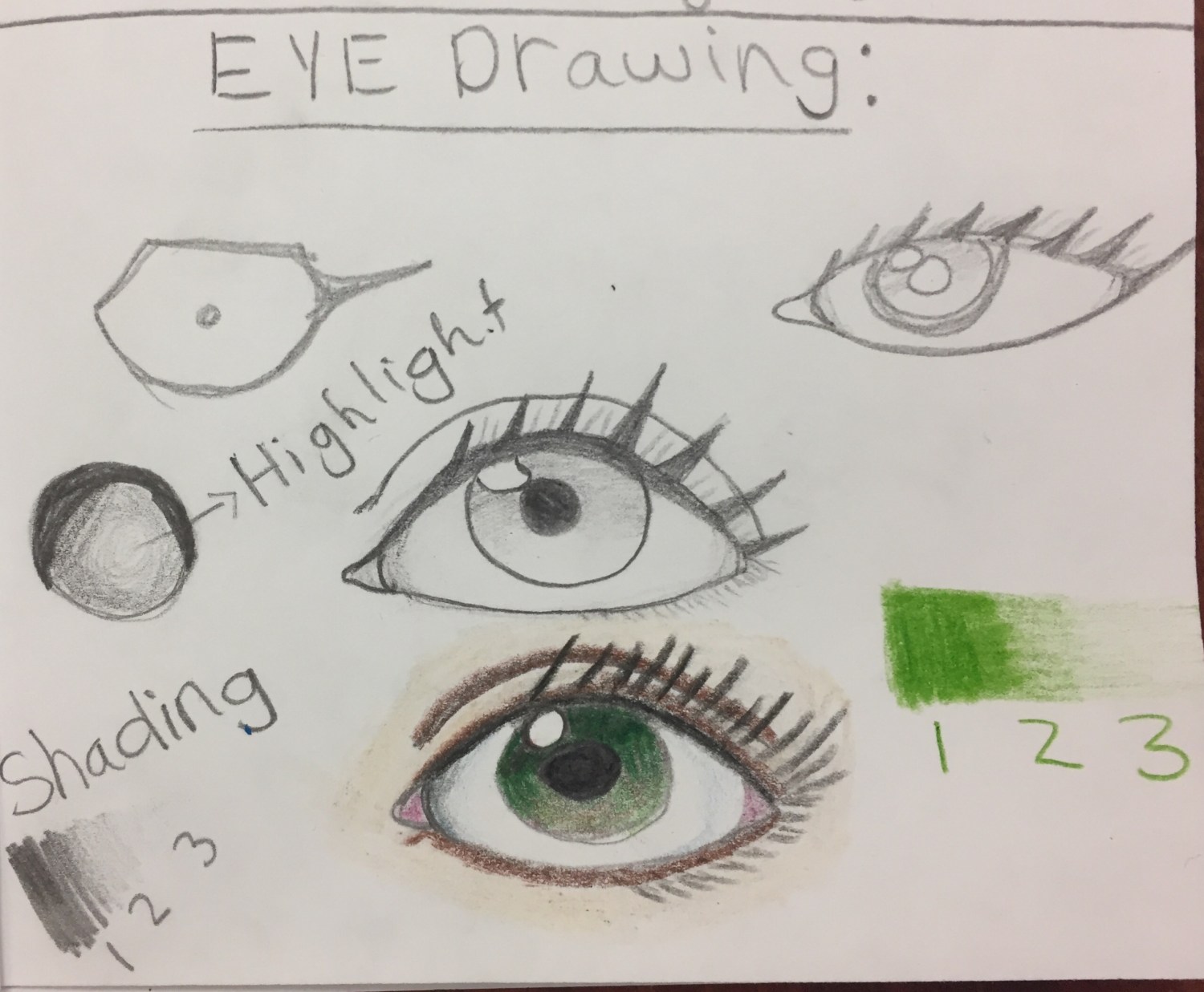 Eye Self-Portrait Lesson Plan - THAT ART TEACHER