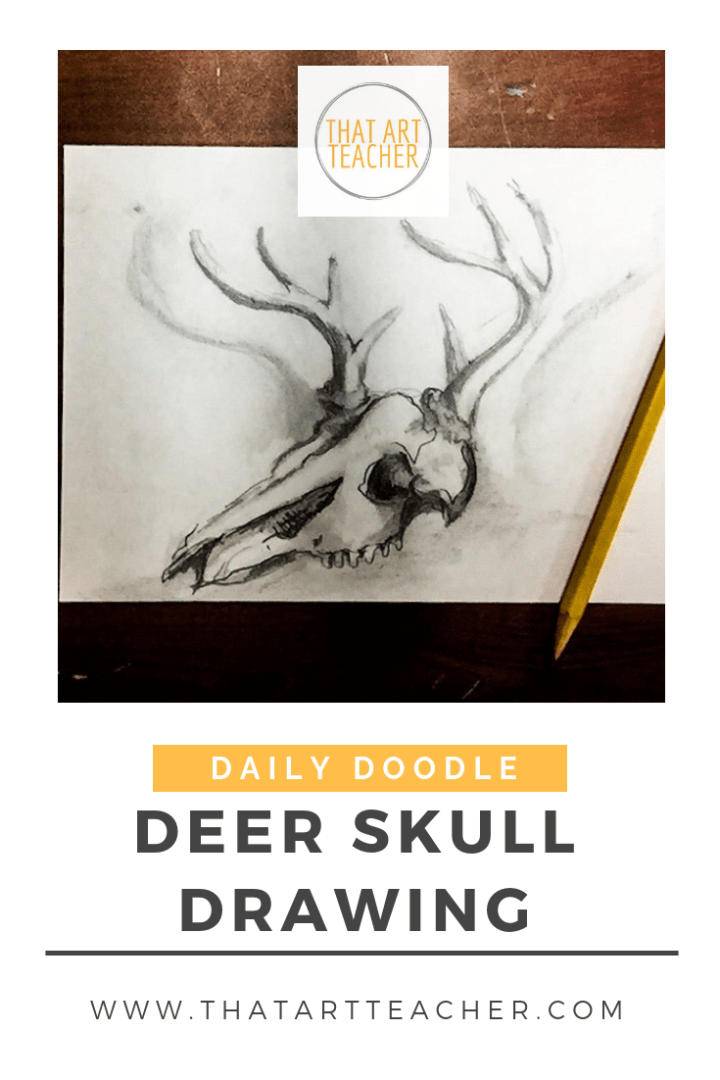 Daily Doodle Deer Skull Drawing That Art Teacher