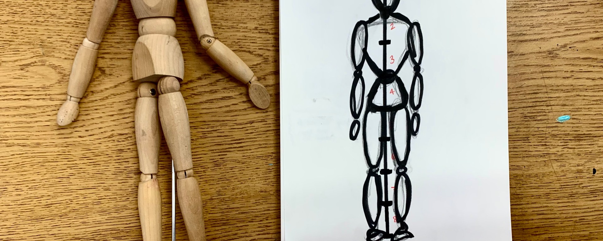 How To Draw Basic Human Proportions That Art Teacher